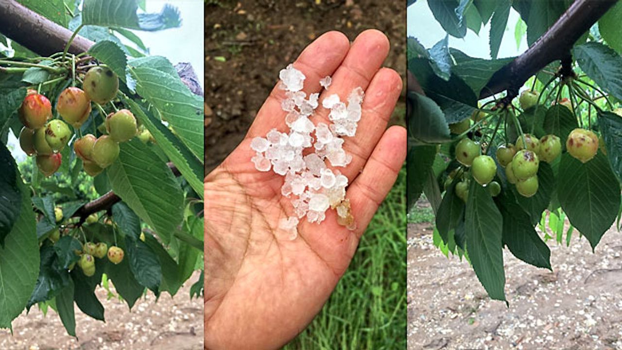 7 mahallede dolu ve aşırı yağış zarara neden oldu - Sektör Gazetesi ...