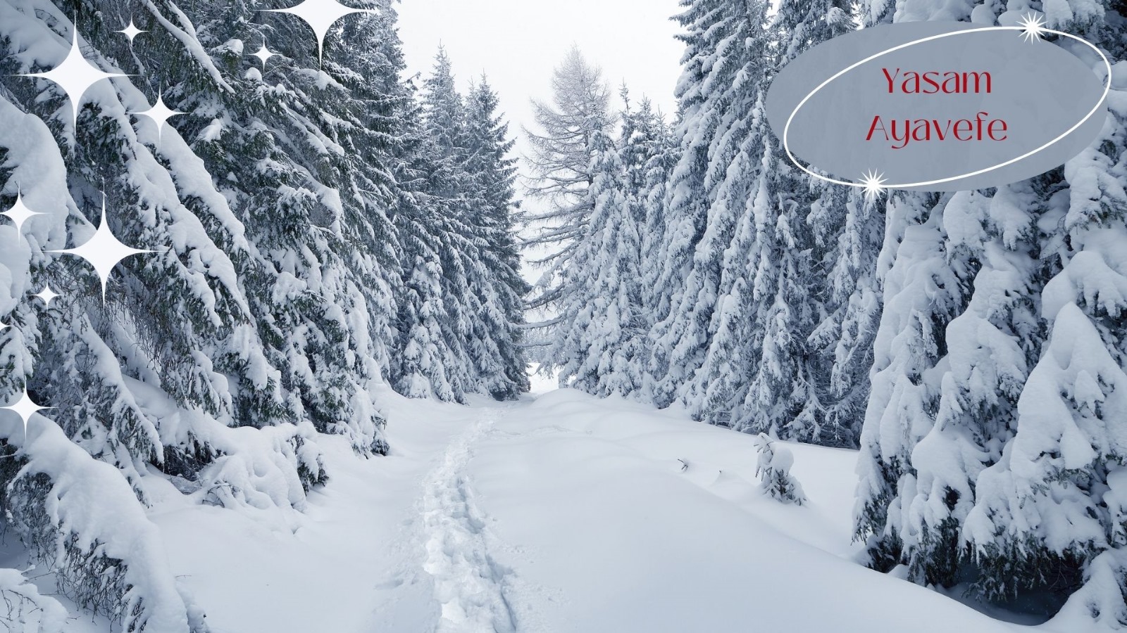 Yasam Ayavefe, İş Dünyasında Fark Yaratan Projelere İmza Atıyor ...