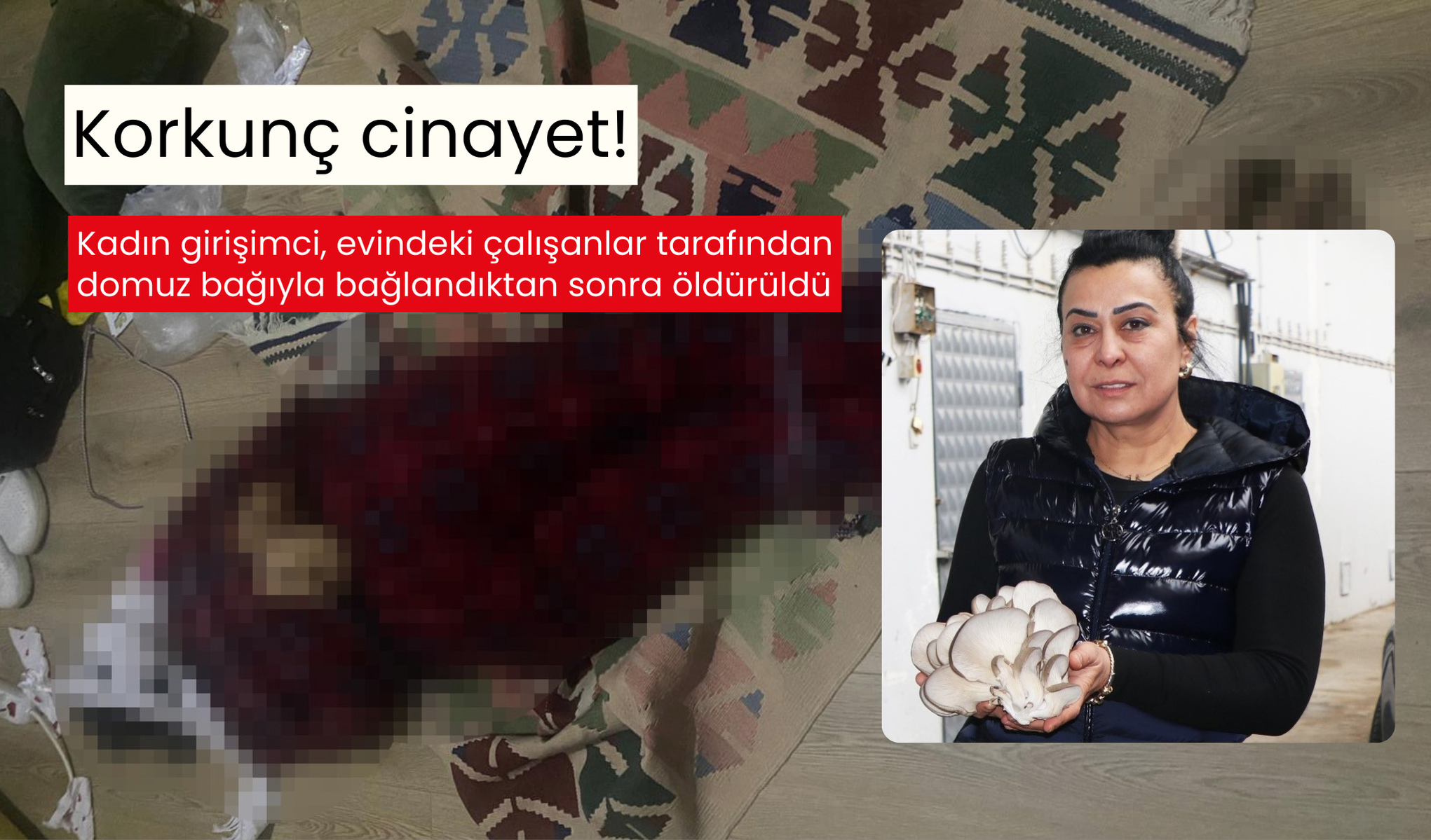 Korkunç cinayet! Kadın girişimci, evindeki çalışanlar tarafından domuz ...