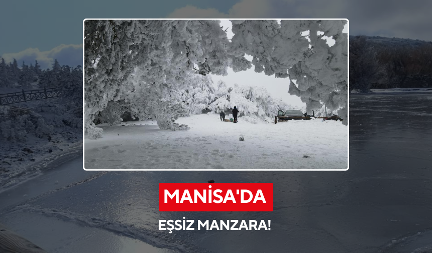 Spil Dağı Milli Parkı'ndaki gölet buz tuttu ağaçlar kırağıyla kaplandı ...