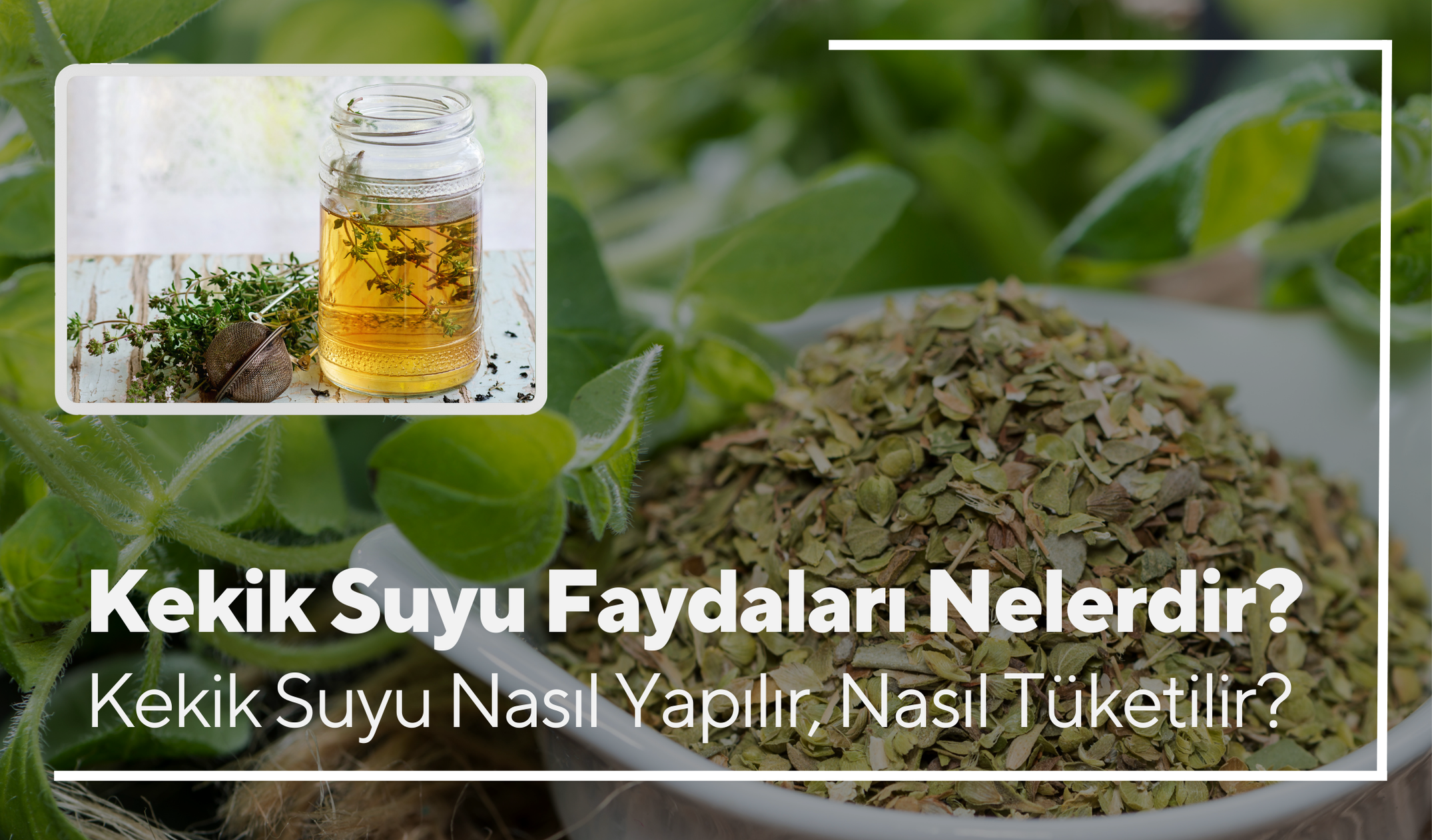 Kekik Suyu Faydaları Nelerdir? Kekik Suyu Neye İyi Gelir, Nasıl Yapılır ...